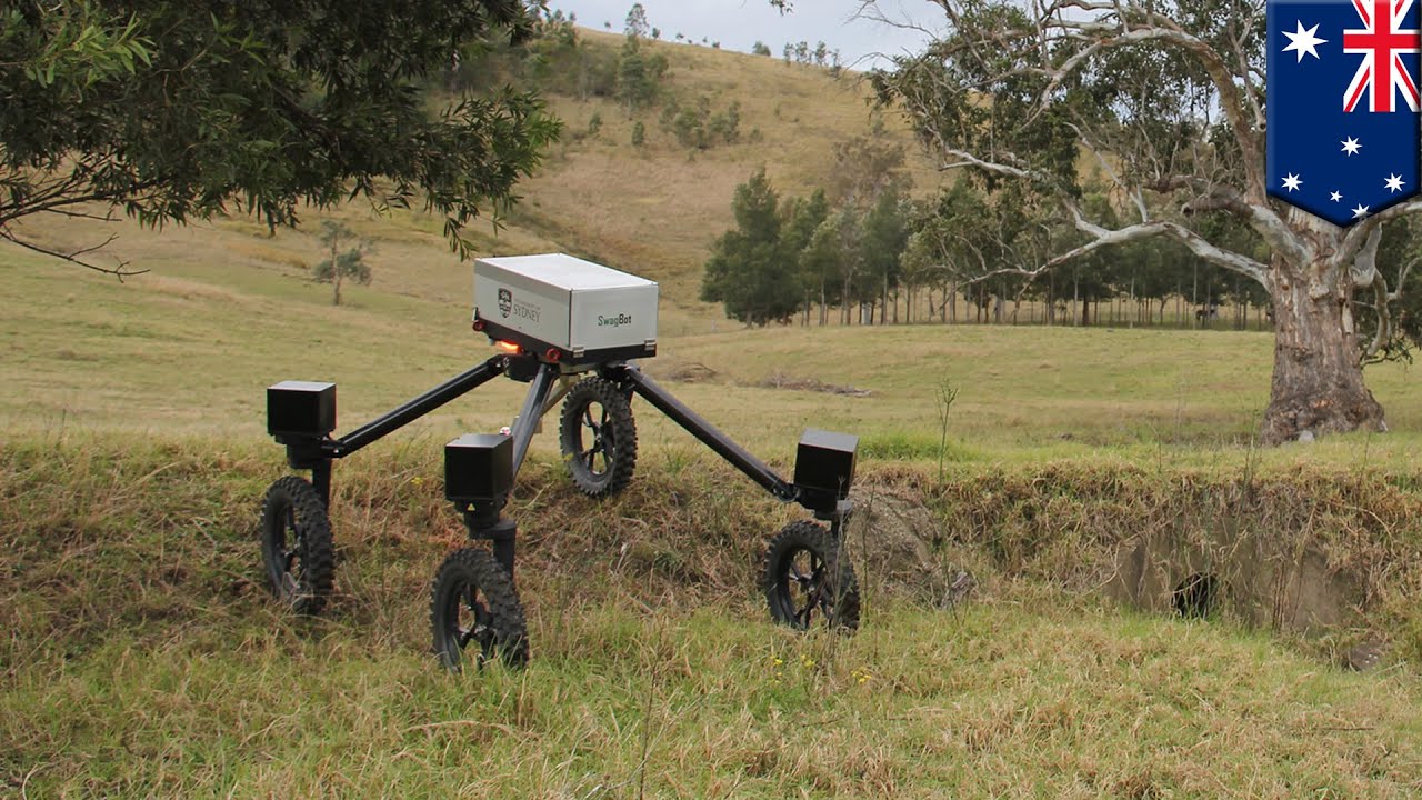 Investigadores en Australia crean robot autónomo que puede cuidar del ...