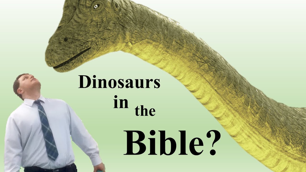 Dinosaur Sunday School: Creation Sunday School Class # 3 (1st Baptist ...