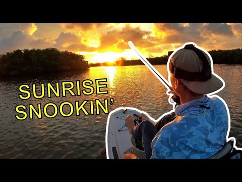 Sunrise Snookin’ (CRAZY TOPWATER ACTION!) - YouTube
