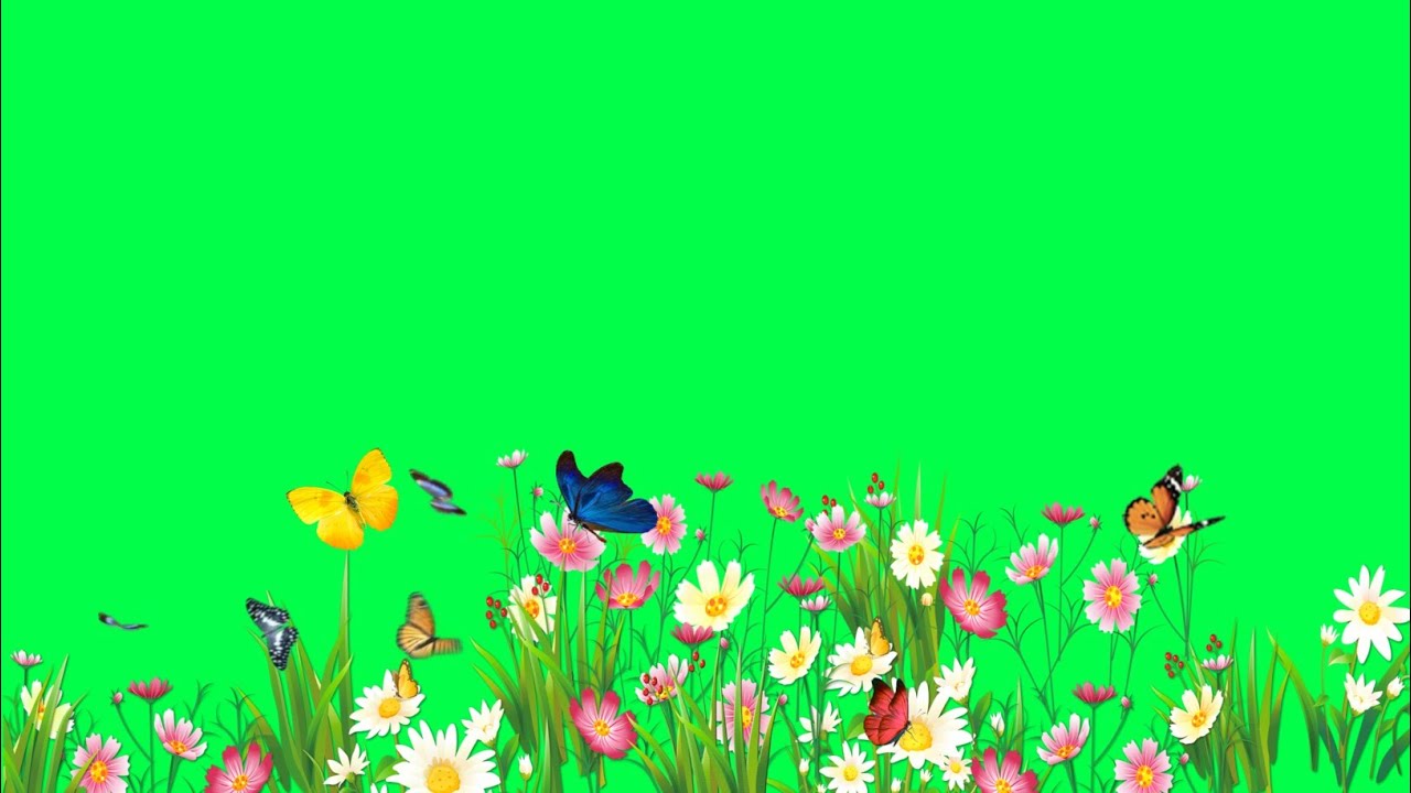flower garden green screen video | flower green screen effect | blue ...