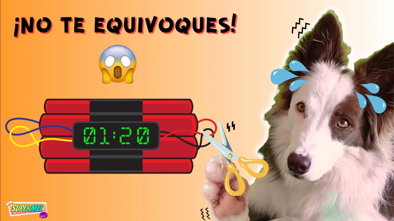 CORTA LA OPCIÓN CORRECTA! No me puedo equivocar! 😅 - YouTube