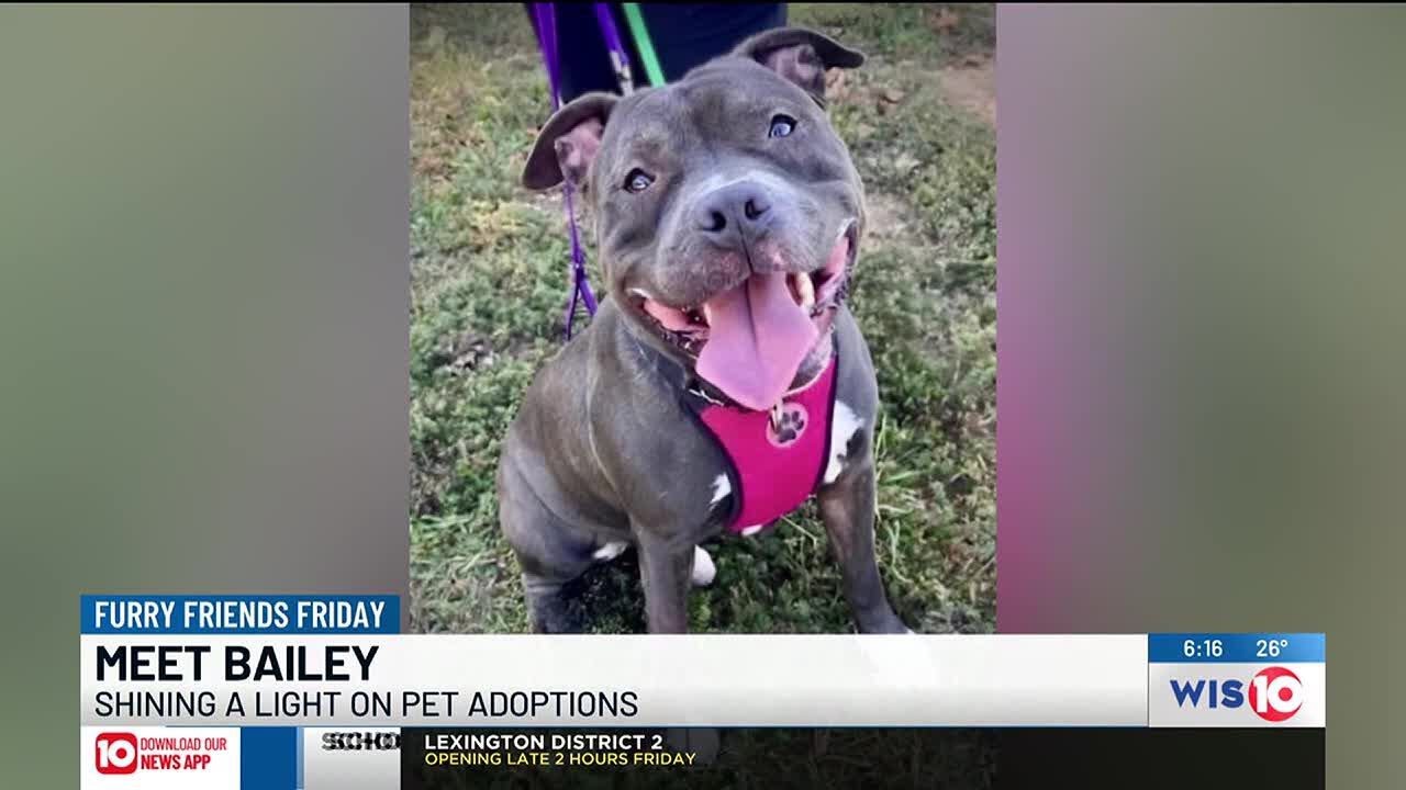 Furry Friends Friday - Bailey - YouTube