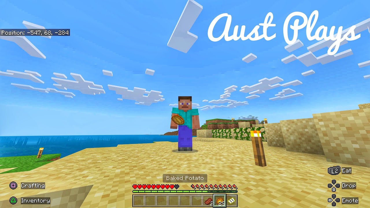 AUST PLAYS MINECRAFT - YouTube