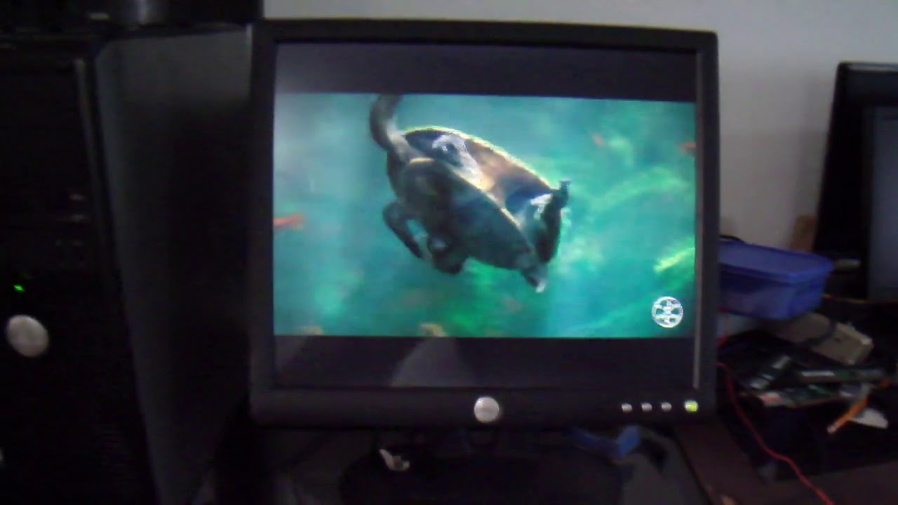 Monitor Dell 17" e173Fpf "Con detalle" - YouTube