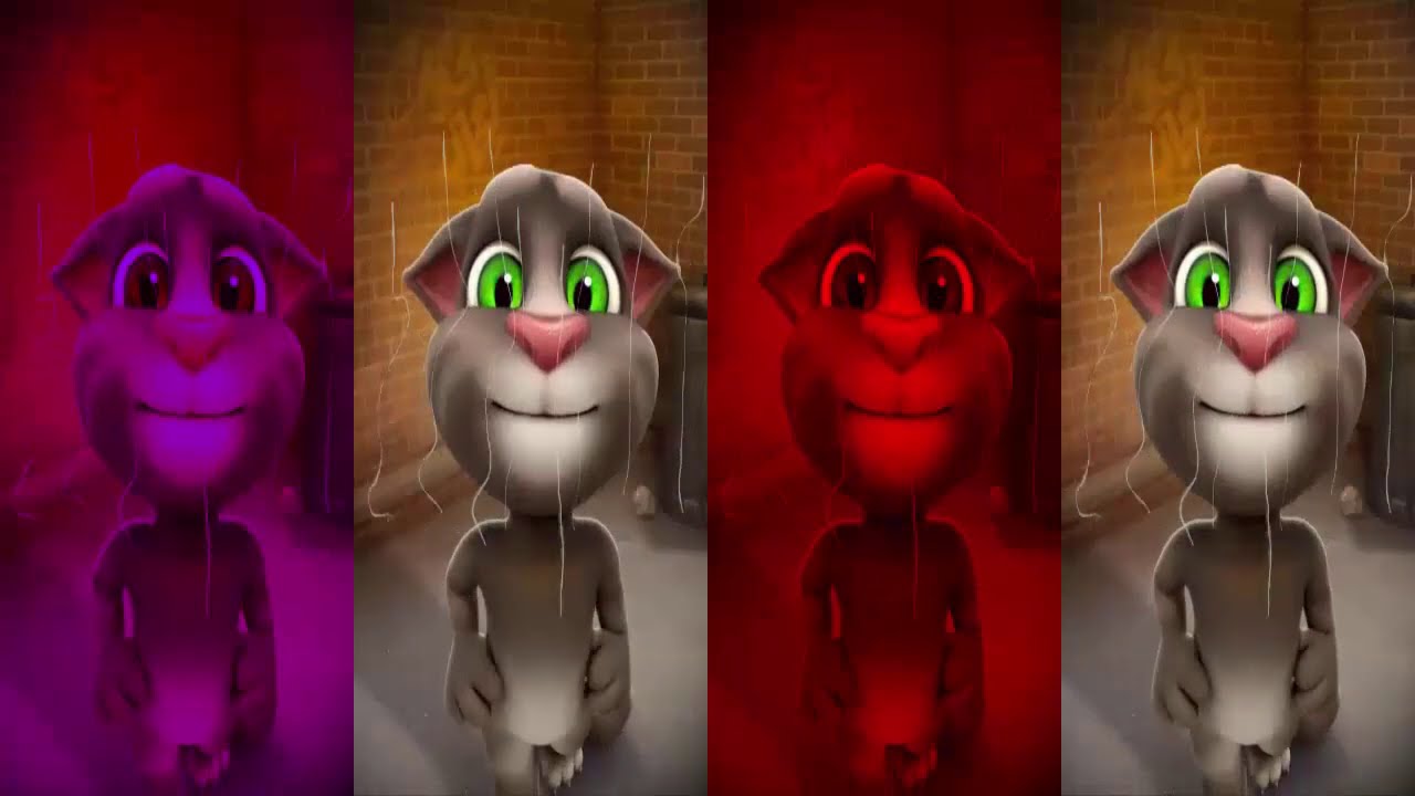 Talking Tom Cat Funny Colors Movement -- Tom Video 41 - YouTube