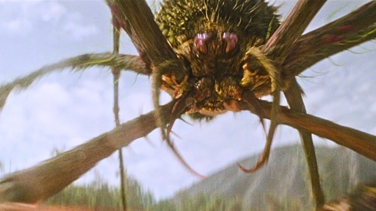 Giant Spider Vs Titan Crab - Skull Island Fight - Monarch: Legacy of ...