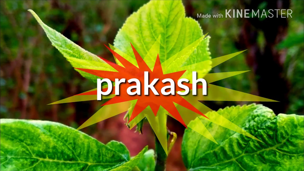 Bagi2 hd movies - YouTube