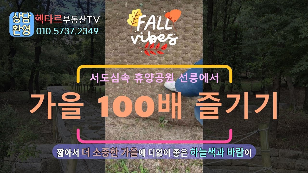 헥타르부동산TV ☎010-5737-2349 - YouTube