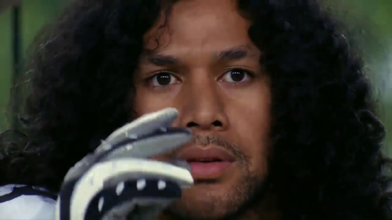 Troy Polamalu Career Highlights - YouTube