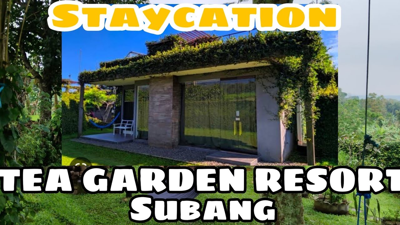 Serunya Staycation DI Tea Garden Resort SUBANG ||Penginapan Berkonsep ...