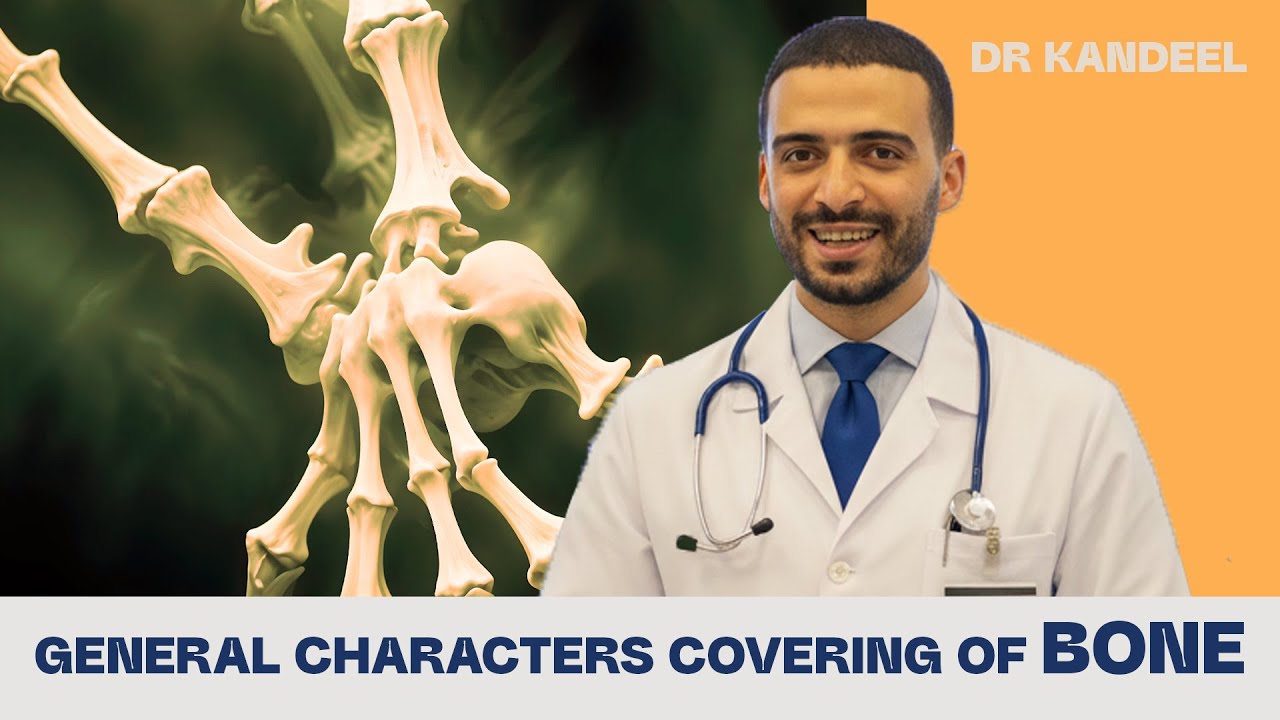 General characters covering of bone | Histology | Dr Kandeel 2025 طب ...