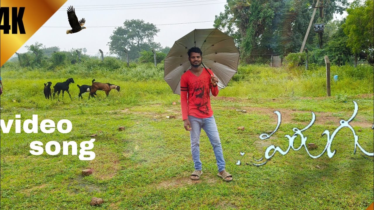 Nammavemo gani andhala uva rani full video song | parugu movie | #Allu ...