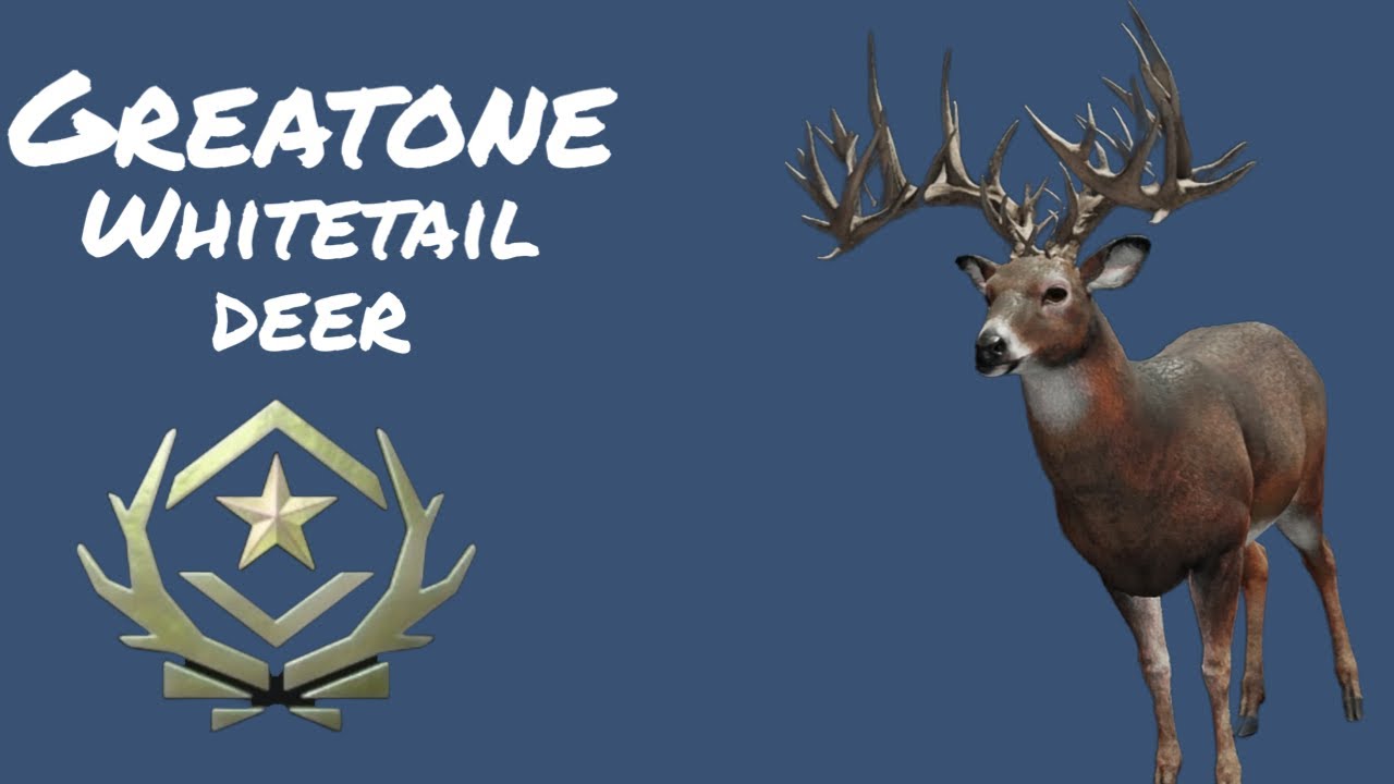 Great one Whitetail deer - YouTube