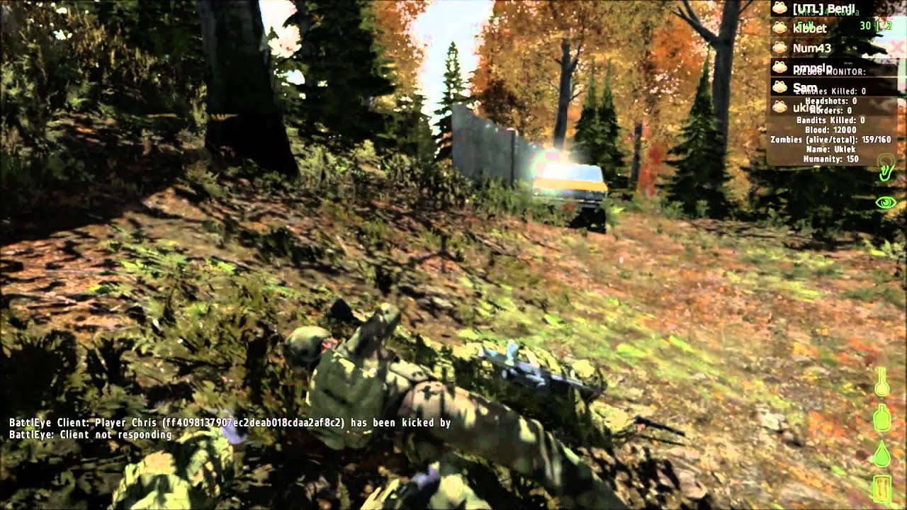 Arma II - DayZ - Fort Haven Randoms - YouTube