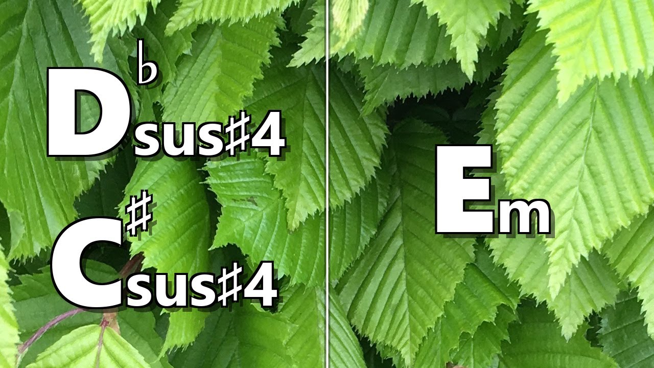 Dbsus #4 (C#sus #4) to Em Backing Track - YouTube