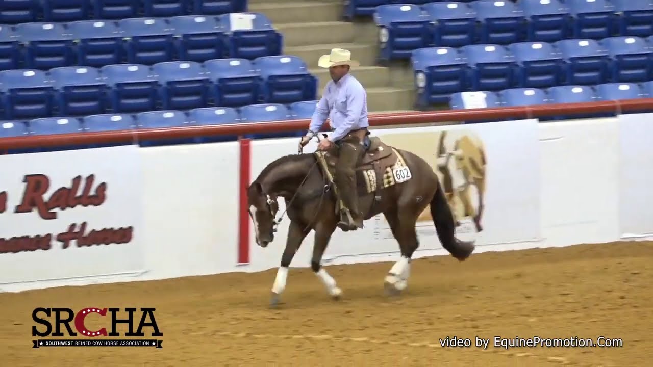 Clinton Anderson and Hulk: 2020 SRCHA Pre-Futurity Rein Work - YouTube