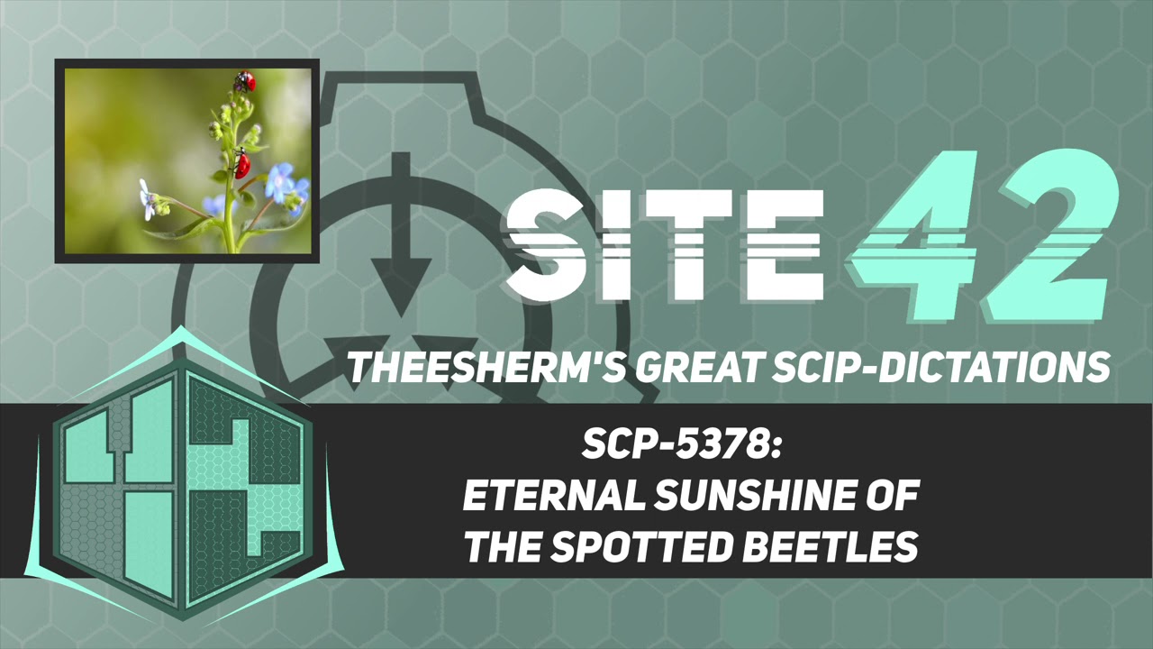 SCP-5378: Eternal Sunshine of the Spotted Beetles - YouTube