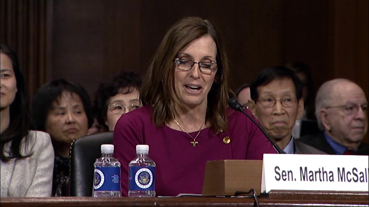 Sen. McSally Introduces Mike Liburdi to Senate Judiciary Committee ...