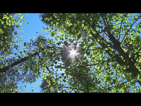 "I Am The Way" by Ruth McNamara - YouTube
