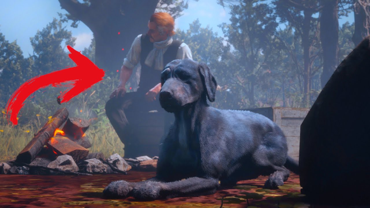 QUAL A FUNÇÃO DO CACHORRO EM RED DEAD ONLINE - YouTube