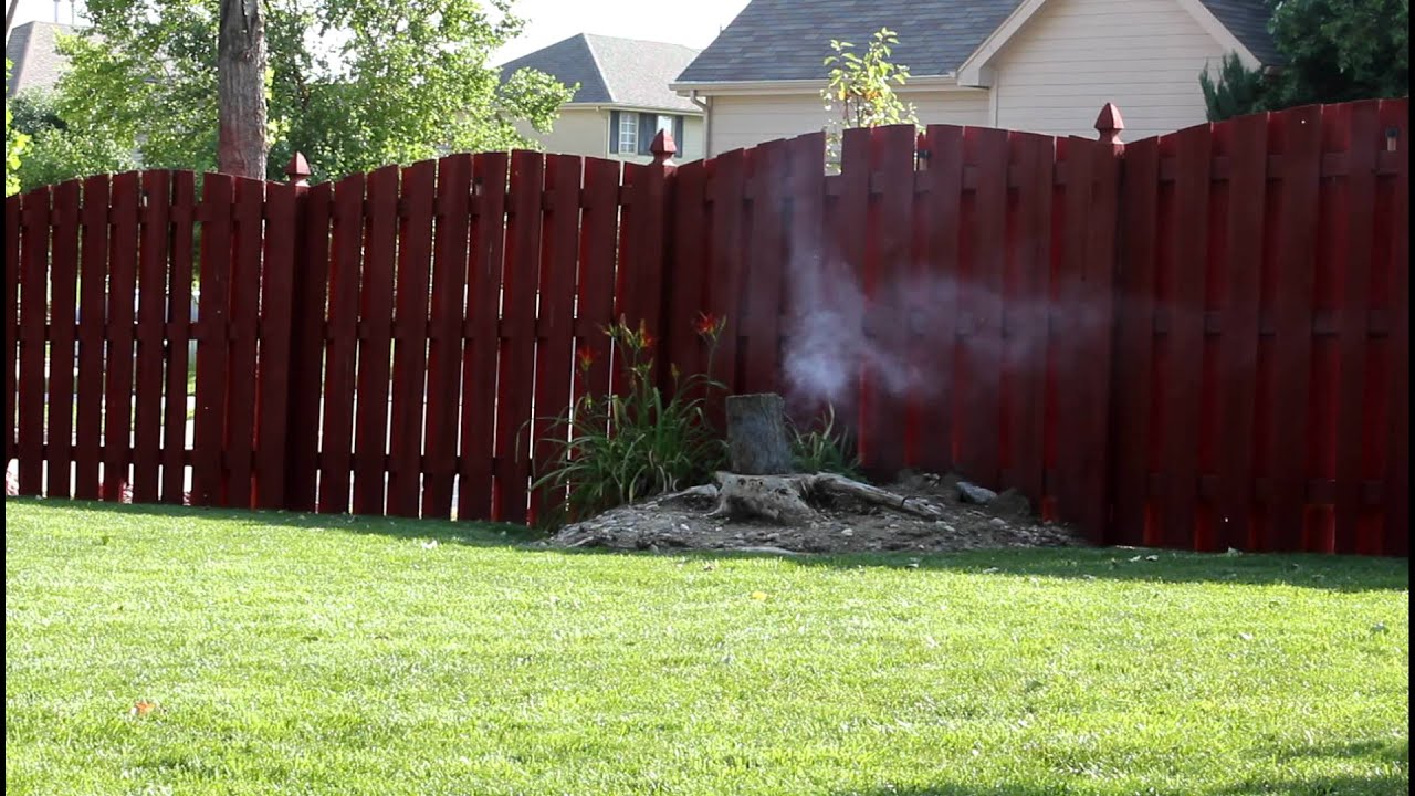 Blowing up a tree stump and log - YouTube