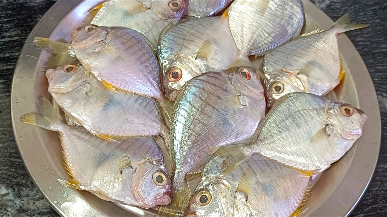 कुर्ची मछली कैसे बनाएं | Gazza Small Fish Recipe | Kurchi Fish Recipe ...