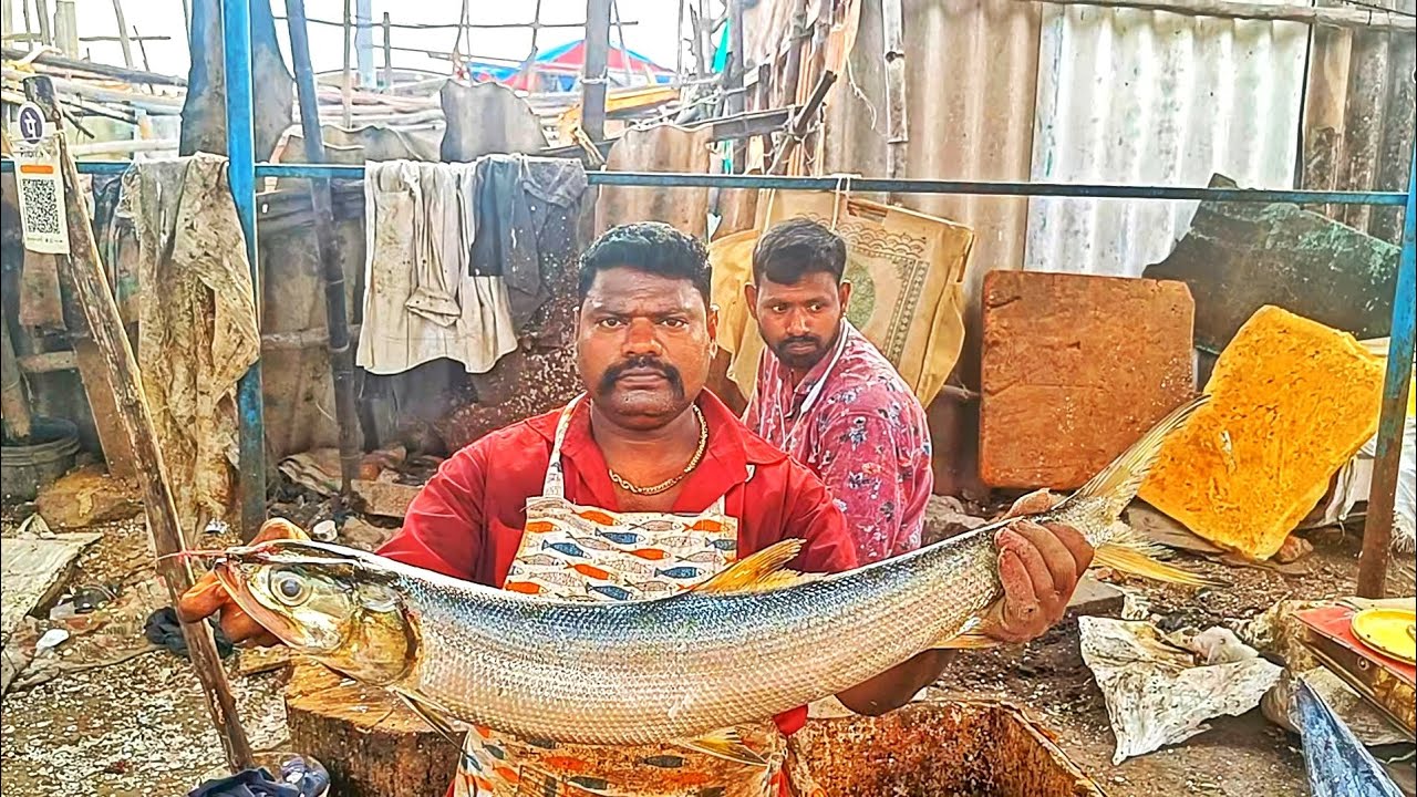 KASIMEDU 🔥SELVAM||ALATHI FISH CUTTING||4K VIDEO|| DDFISHCUTTING|| - YouTube