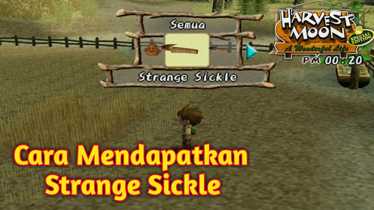 cara Mendapatkan Strange sickle Dari Cody - Harvest Moon A Wonderful ...