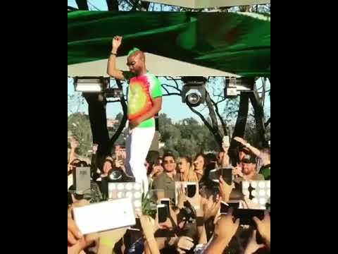 Green Velvet dancing percolator #Percolator #GreenVelvet - YouTube