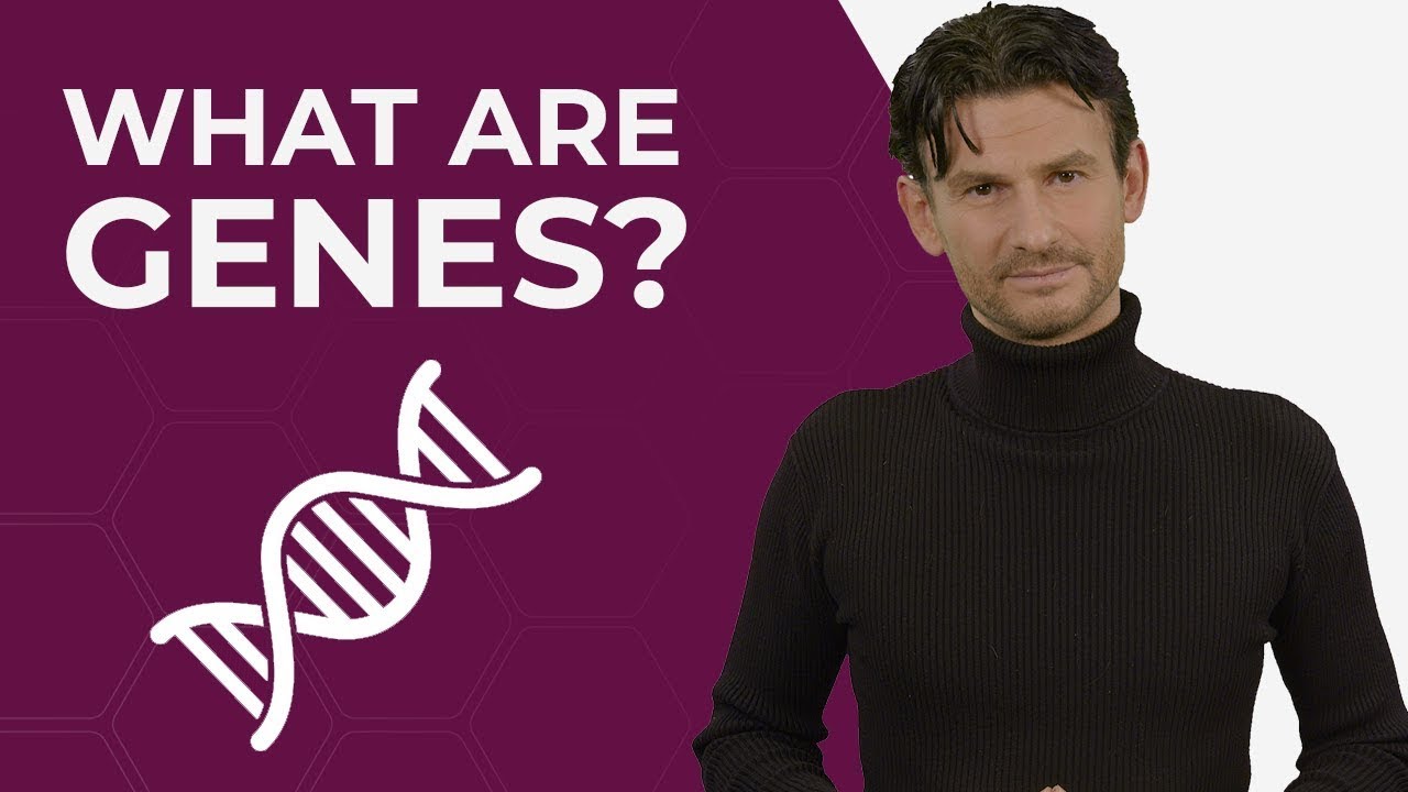 What are GENES? And how do they influence our HEALTH? - YouTube