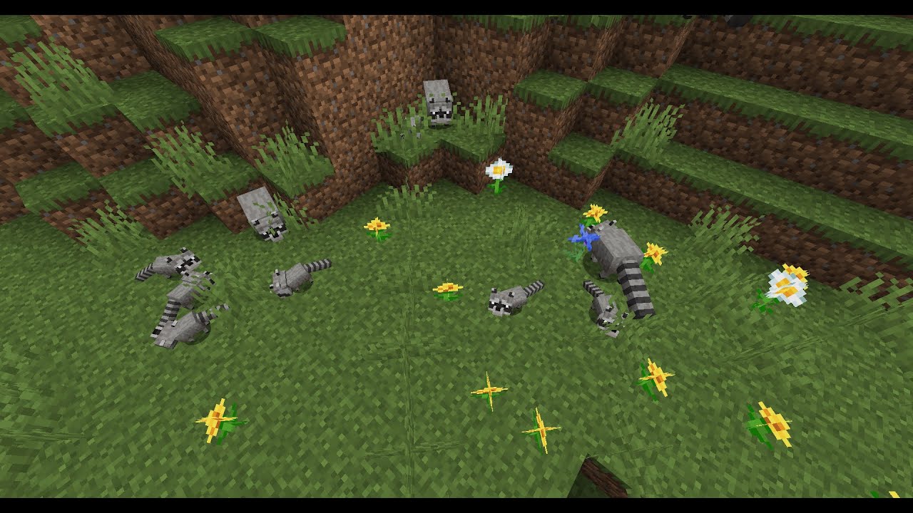 The natural learning of taming a Raccoon | Minecraft - YouTube