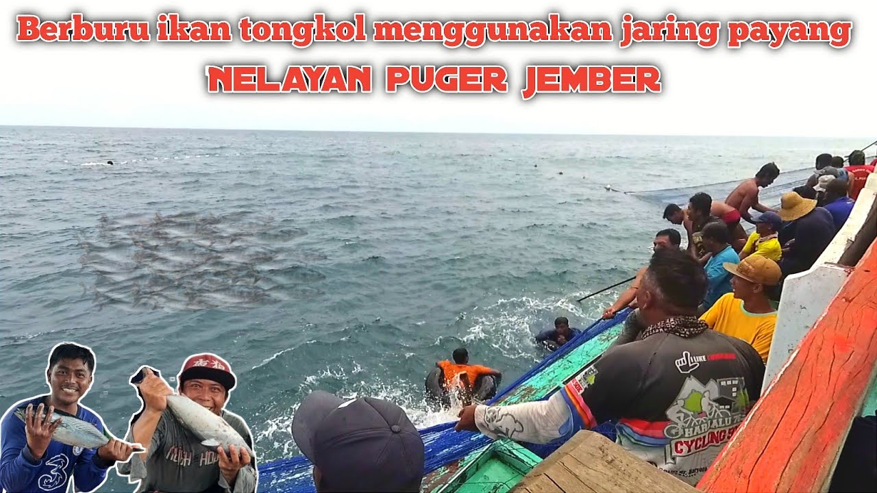 berburu ikan tongkol menggunakan jaring payang ll Nelayan puger - YouTube