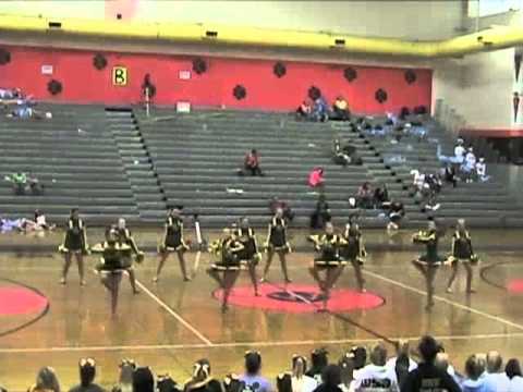 SRVHS Pom Competition Nov 2010 - YouTube