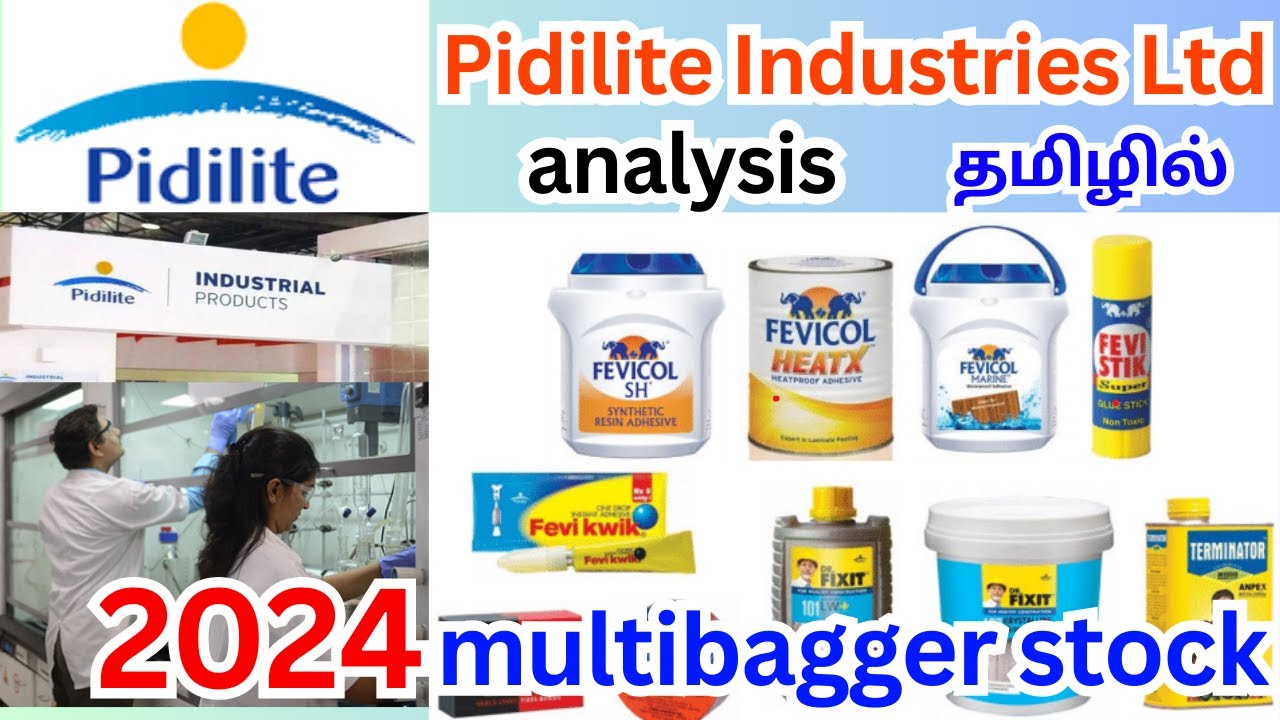 Pidilite Industries Ltd 2024 analysis tamil - YouTube
