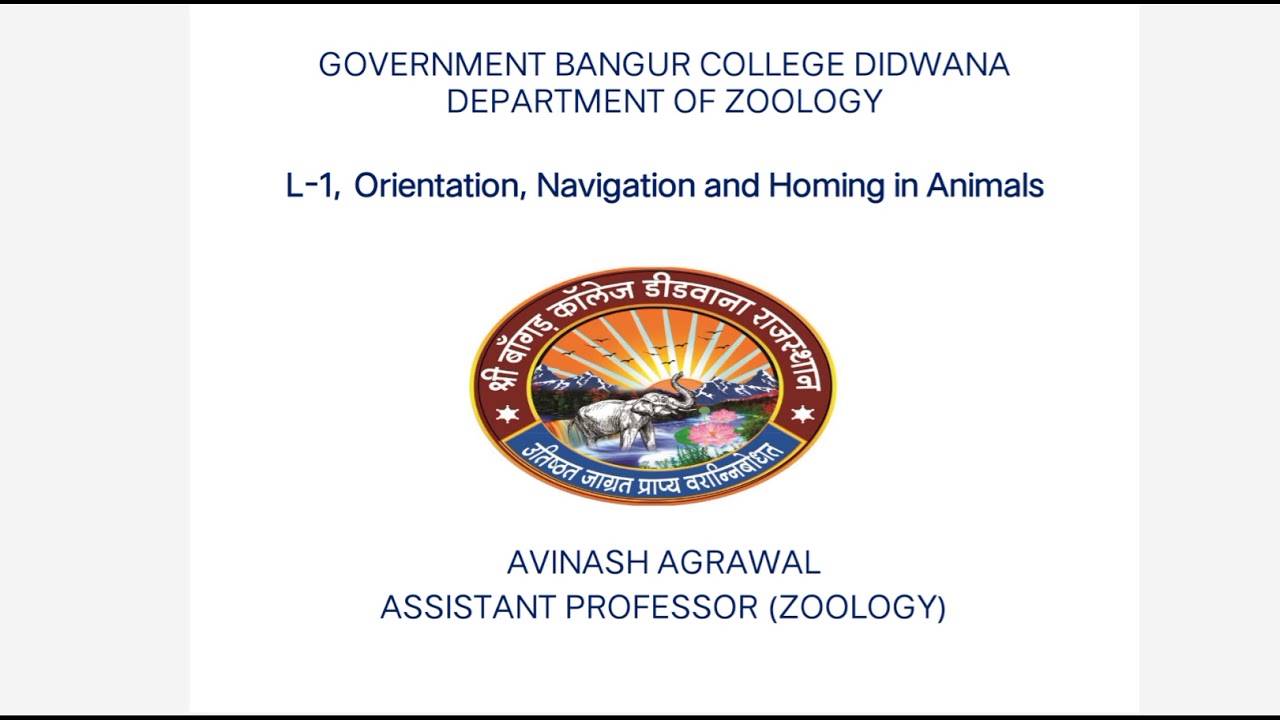 (L-1), Orientation, Navigation and Homing in Animals. - YouTube