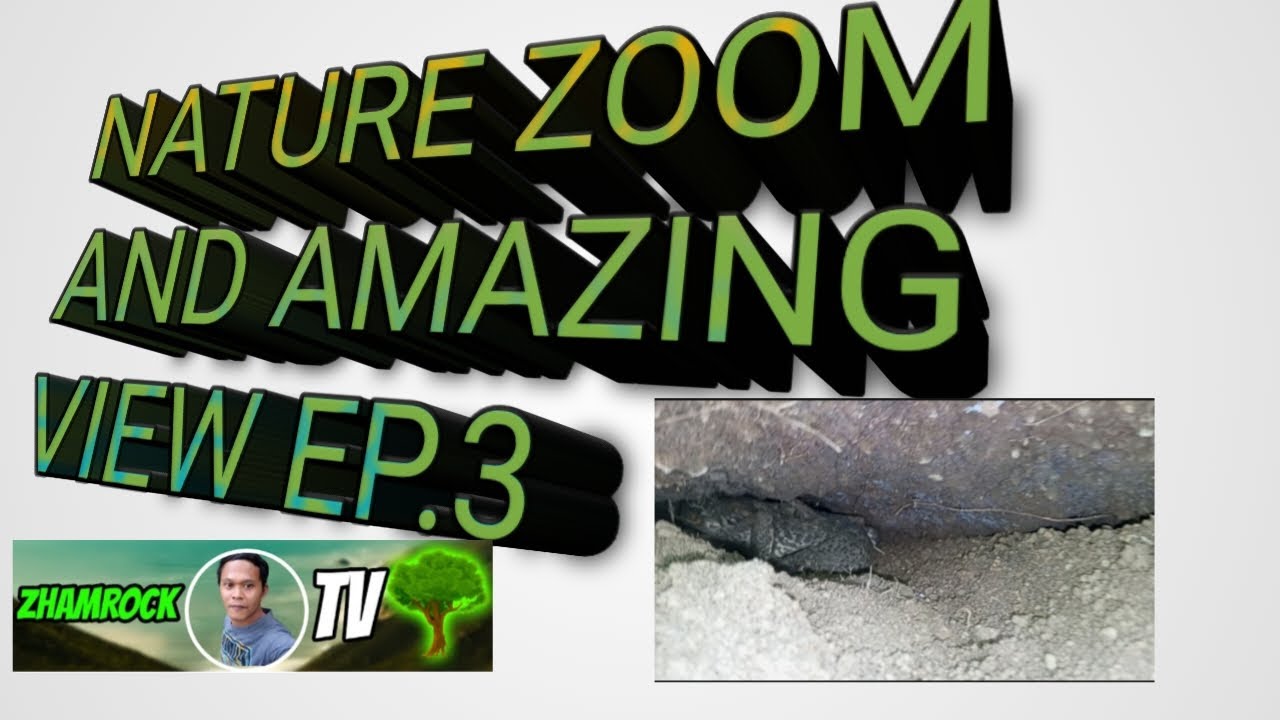 NATURE ZOOM AND AMAZING VIEW EP.3 - YouTube