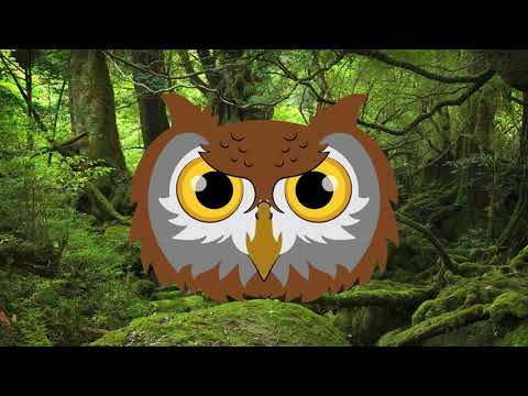 Afro Bros Tragiton Official Music Video Bass+