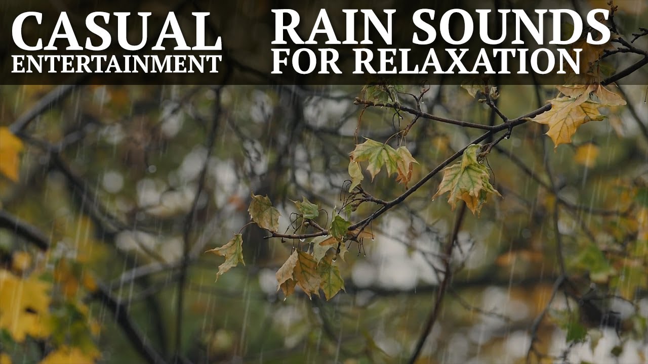 Autumn Leaves And Rain Sounds For Relaxation And Deep Deep Sleep ๐ง ๐ ๐