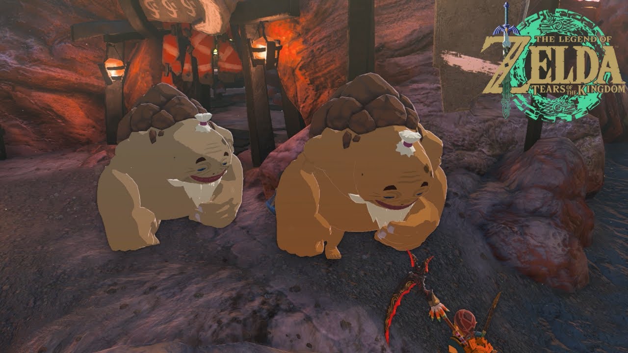 THE LEGEND OF ZELDA TEARS OF THE KINGDOM ☁ #258: Nebenaufgaben im ...