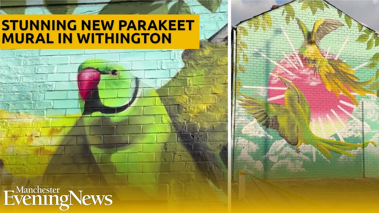 Withington Walls: Stunning new mural celebrating south Manchester’s ...