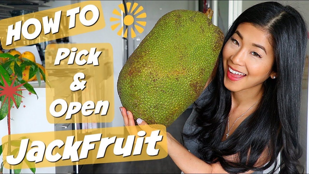 How To EASILY Pick & Open Jackfruit - YouTube