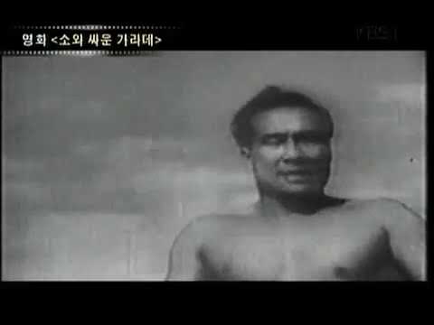 Mas Oyama Kyokushin vs Bull