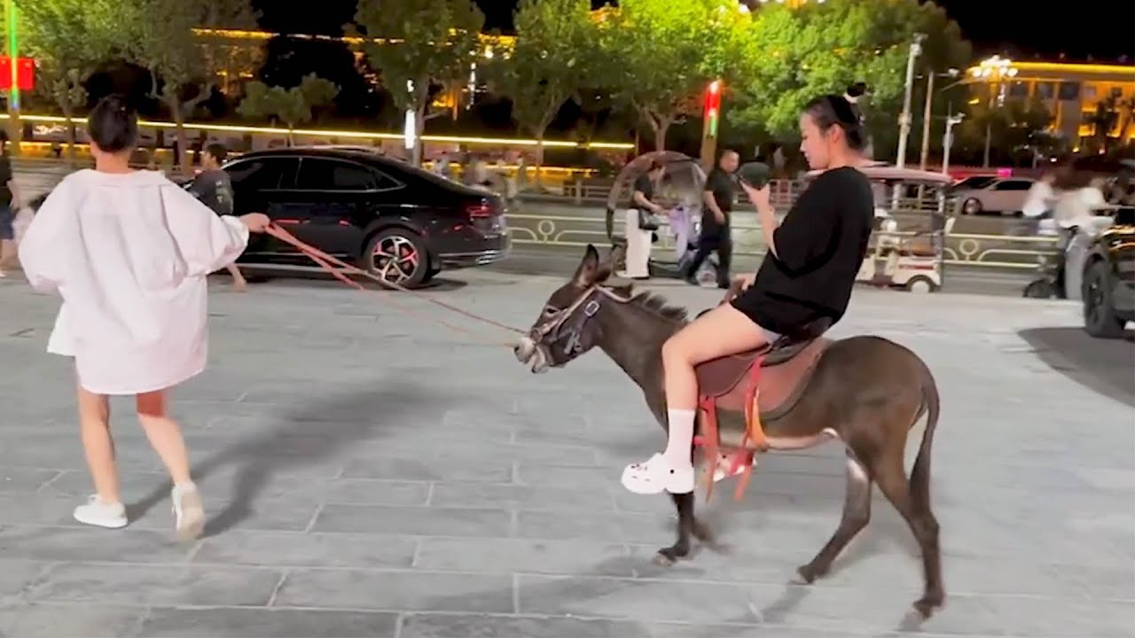 The little donkey was very obedient and the tourists led it themselves ...