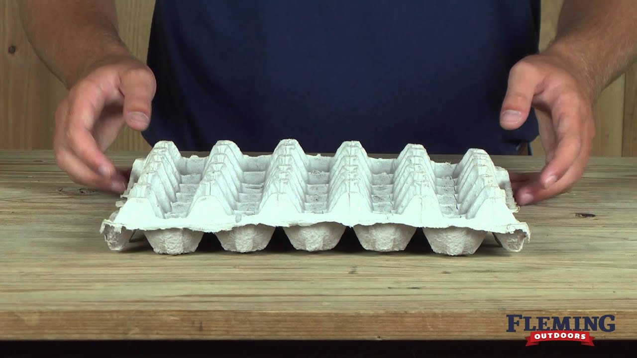 Paper Chicken Egg Tray - YouTube
