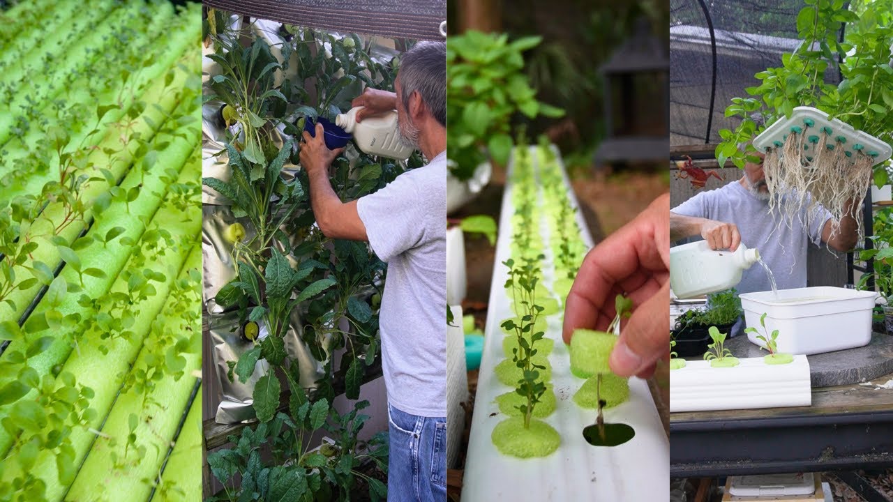 Tomatoes and Peppers in DIY Garden Tower, Cheap & Easy Hydroponics ...