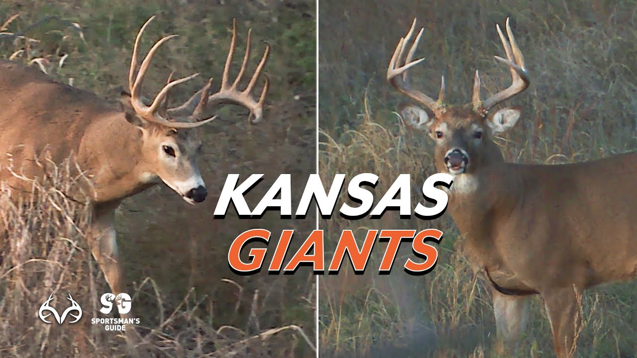 4 Kansas Giants | Monster Buck Moments Presented by Sportsman's Guide ...