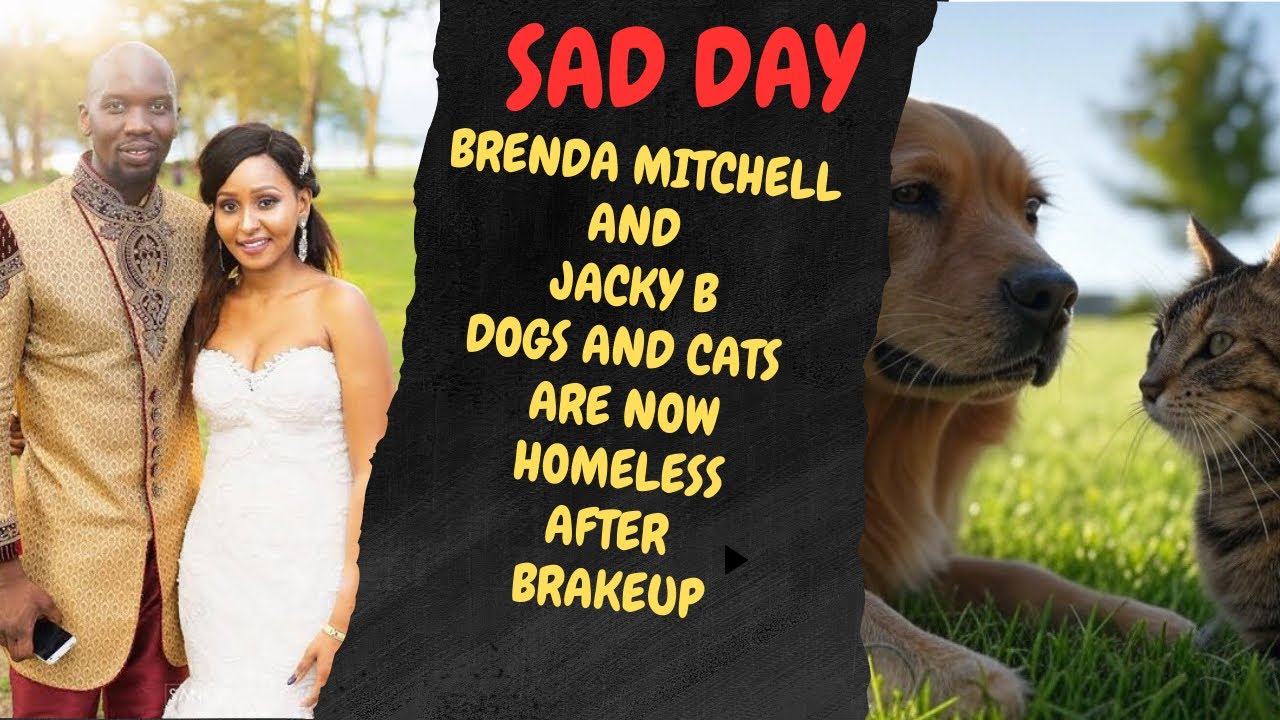 Jacky B and Brenda mitchell dogs depressed - YouTube