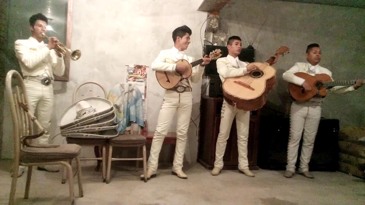 Diseñame Mariachi Juvenil Gallos de Oro - YouTube