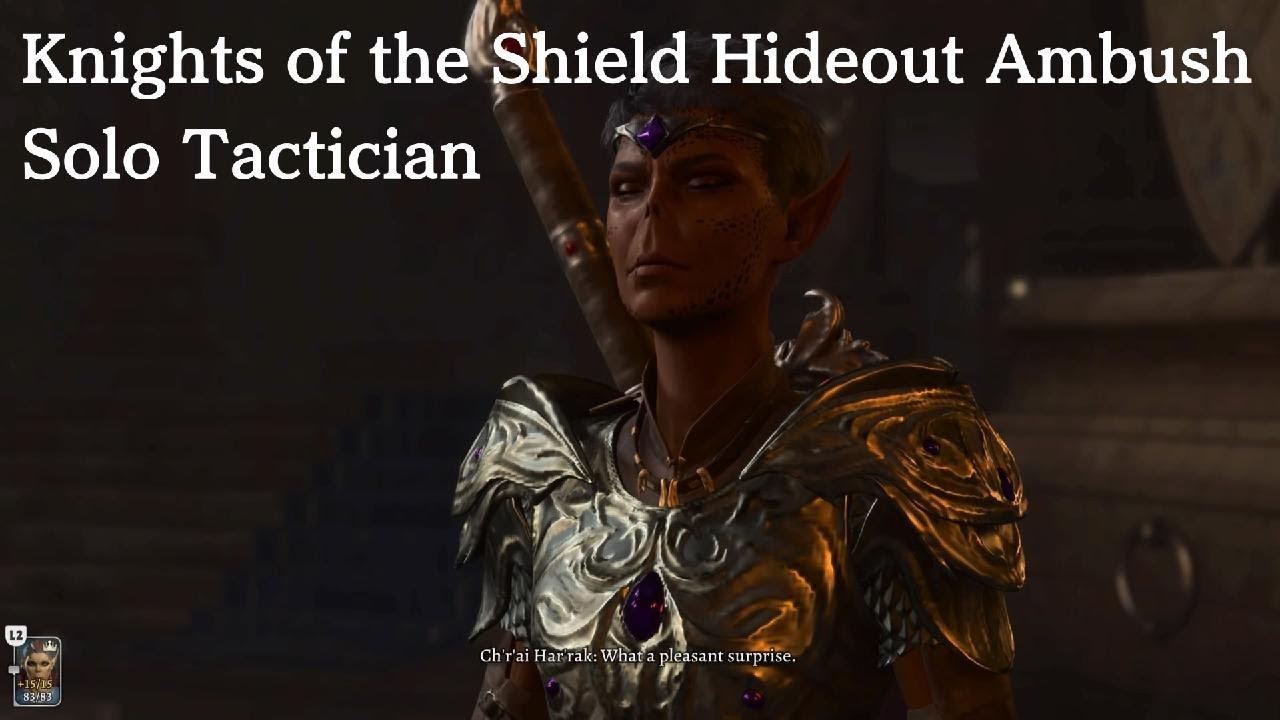 Baldur's Gate 3 Knights of the Shield Hideout Ambush Solo Tactician ...