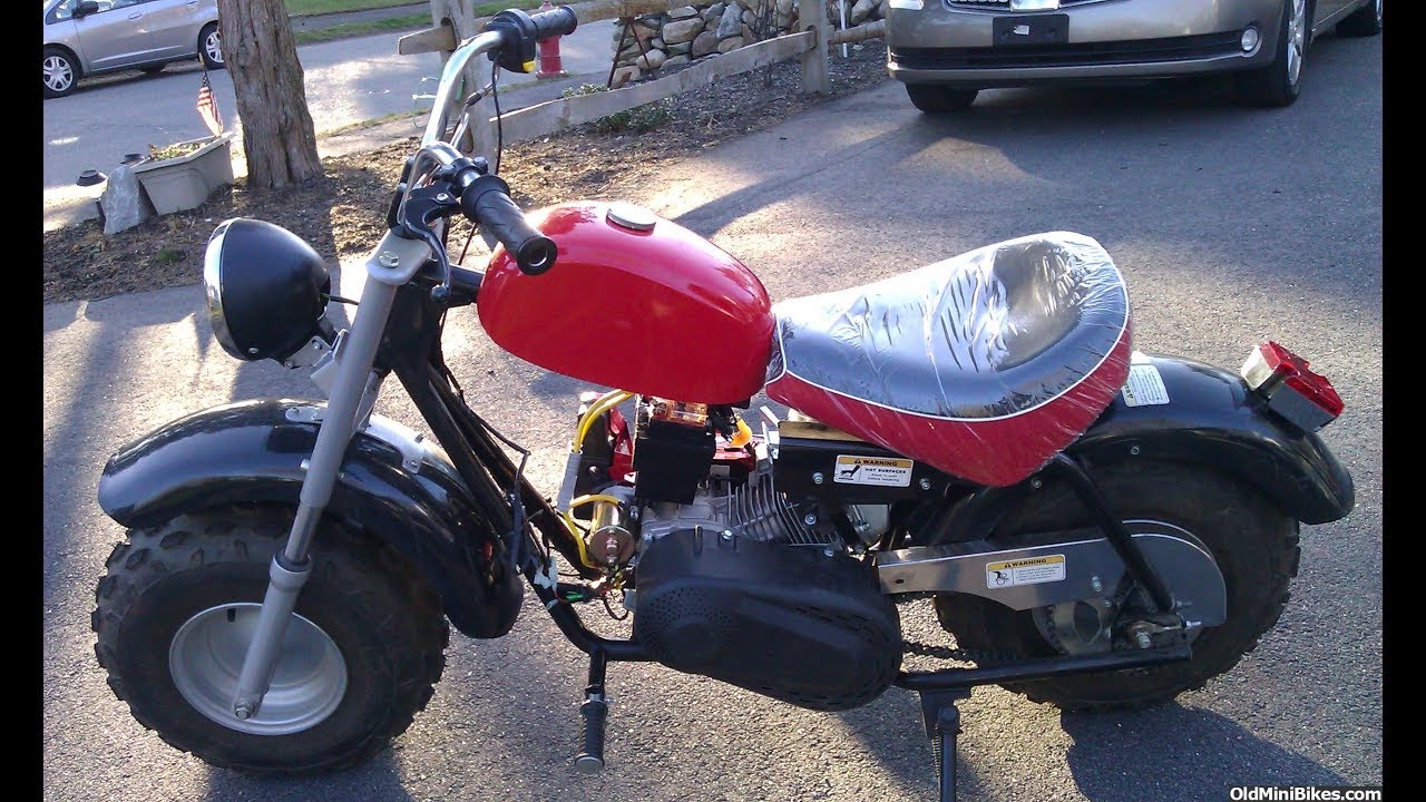 Baja 212cc Predator Mini Bike | Bike 19!!!!!!!!! - YouTube